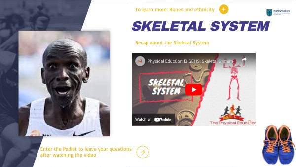 Flipped Skeletal System | Genially