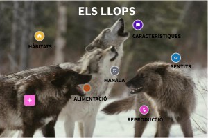 ELS LLOPS | Genially