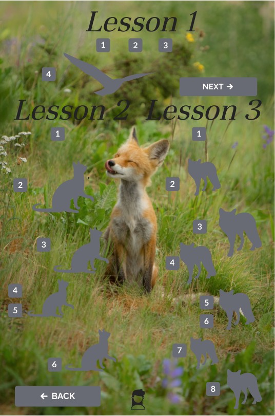 Grade 3 Wild animals SB70-71