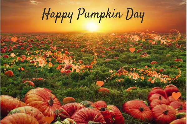 Pumpkin Day