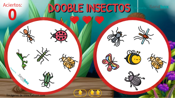 DOOBLE INSECTOS | Genially