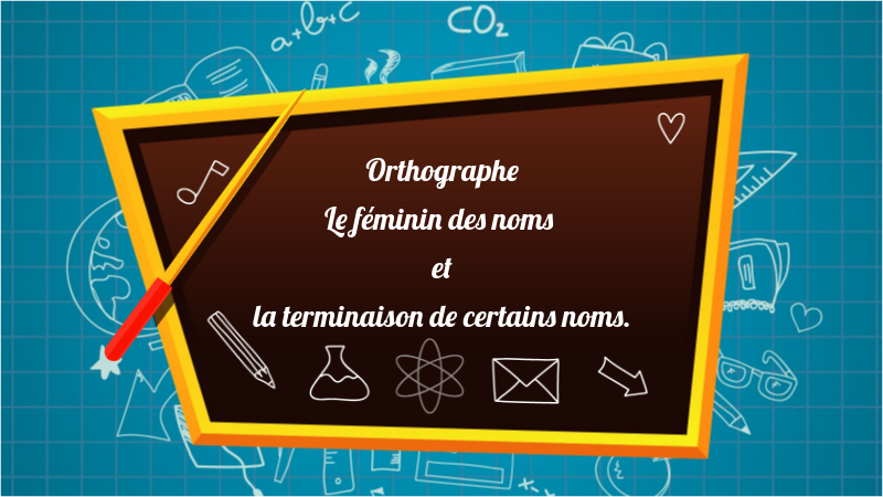 Le féminin des nom | Genially