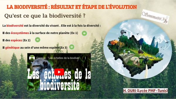 QCM La biodiversité : résultat et étape de l’évolution T09 | Genially