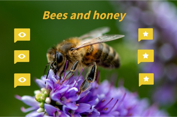 Bees and honey | Genially