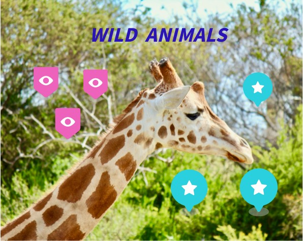 Wild Animals