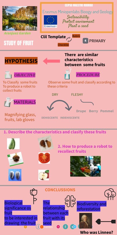 How are fruits?