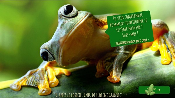 4e- système nerveux - commande d'un mouvement | Genially