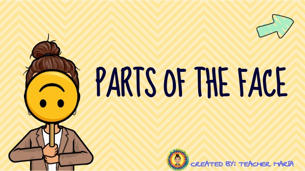 PARTS OF THE FACE