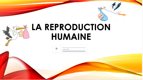 Reproduction humaine | Genially