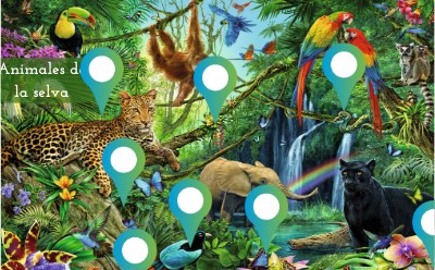 ANIMALES de la Selva | Genially