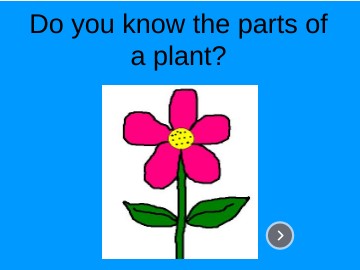 plants game | Genially