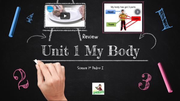 Review my body 1º
