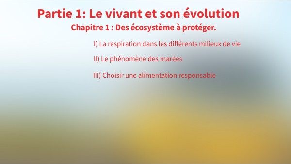 le milieu marin, un écosystème à protéger | Genially