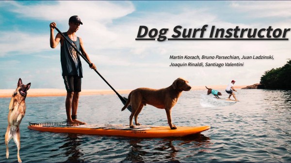 Dog Surf Instructor | Genially