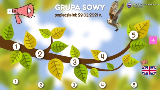 sowy 29.03-2.04