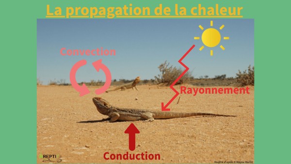 Module Propagation de la chaleur