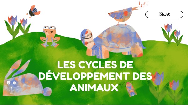 BABY ANIMALS PRESENTATION