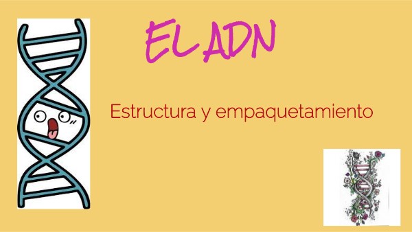 EL ADN | Genially