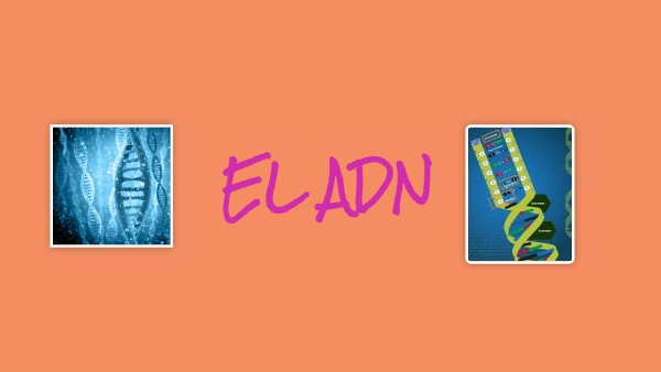 EL ADN y su expresión | Genially