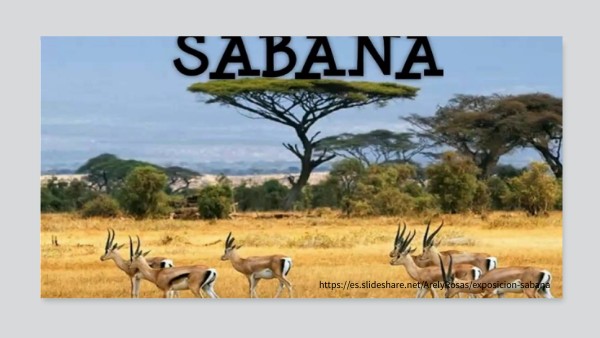 LA SABANA