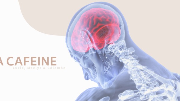 la caféine | Genially