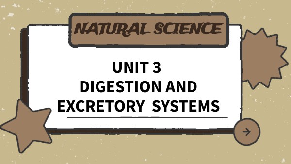DIGESTIVE AND EXCRETORY SYSTEM | Genially