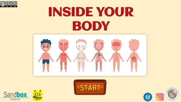 Inside your body