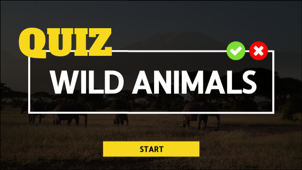 Quiz Wild animals
