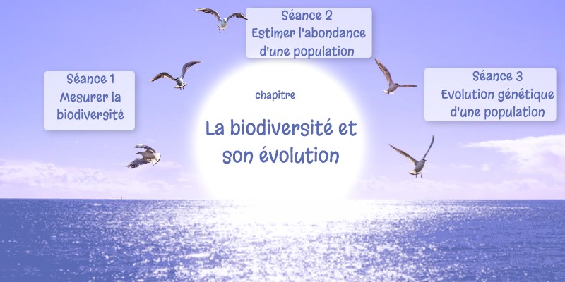 Biodiversité et evolution | Genially