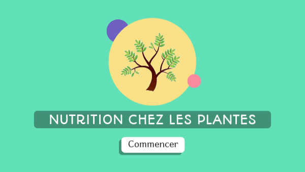 nutrition chez les végétaux | Genially
