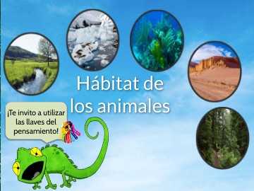 Hábitat de los animales | Genially