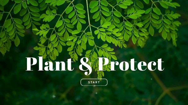 Plant & Protect | Genially