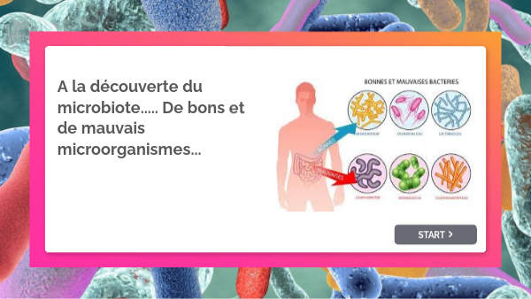 Th2 Ch1 Le microbiote | Genially