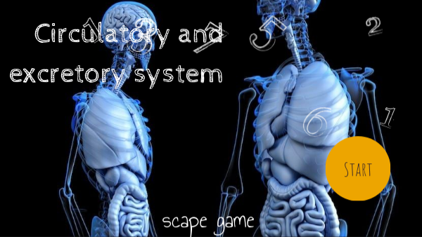 3 eso. Circulatory and excretory | Genially