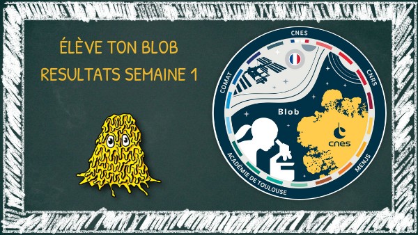 RESULTATS - Elève ton BLOB | Genially