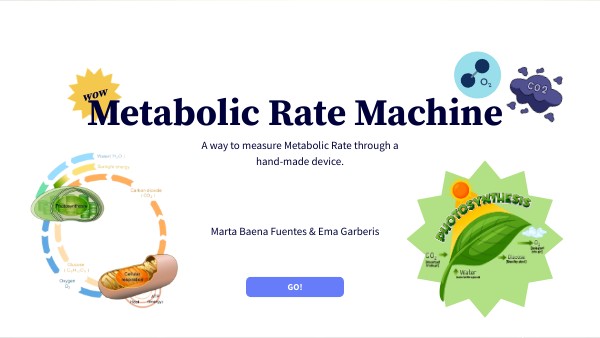 Metabolic Rate Machine