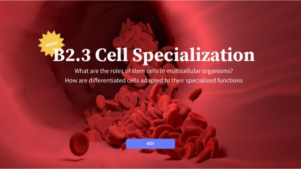 B2.3_Cell specialization