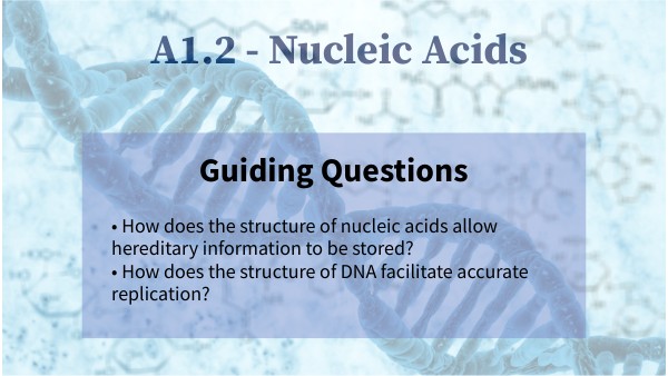 A 1.2 Nucleic Acids | Genially
