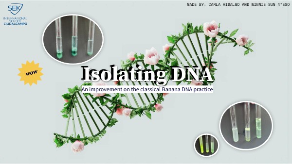Isolating DNA | Genially