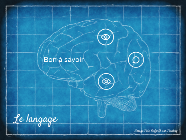 LE LANGAGE | Genially