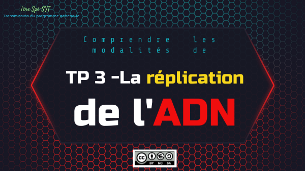 PY_Réplication de l'ADN | Genially