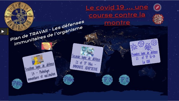 PY_Immuno_1Spe_confinement