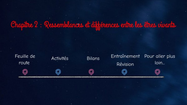 E 2021-2022 6.2 Ressemblances et différences entre les EV | Genially