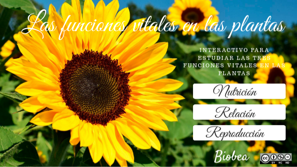 Las funciones vitales en las plantas | Genially