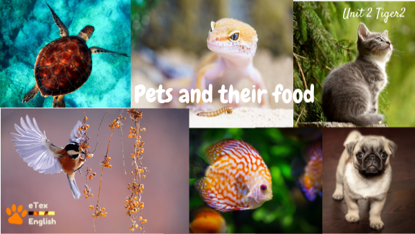 Tiger 2 Unit 2_Pets and food | Genially