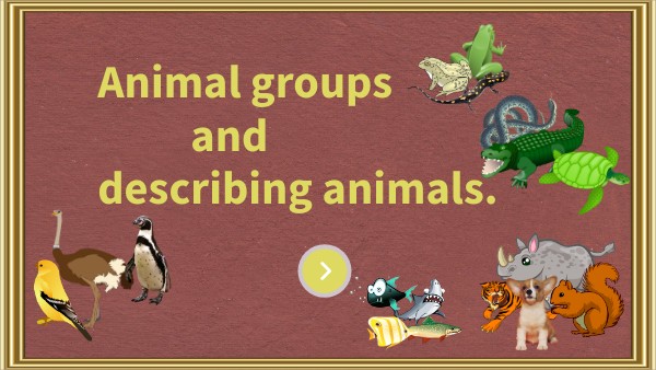 Animal Groups T3 U2 | Genially