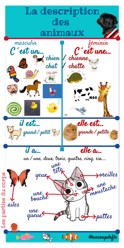 La description des animaux | Genially