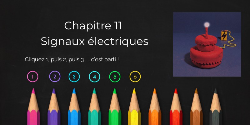 C11-Signaux électriques