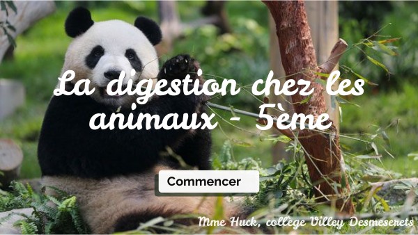 5e La digestion chez les animaux | Genially