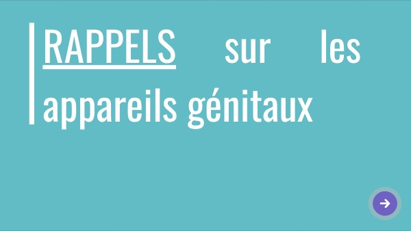 RAPPELS Appareils reproducteurs | Genially
